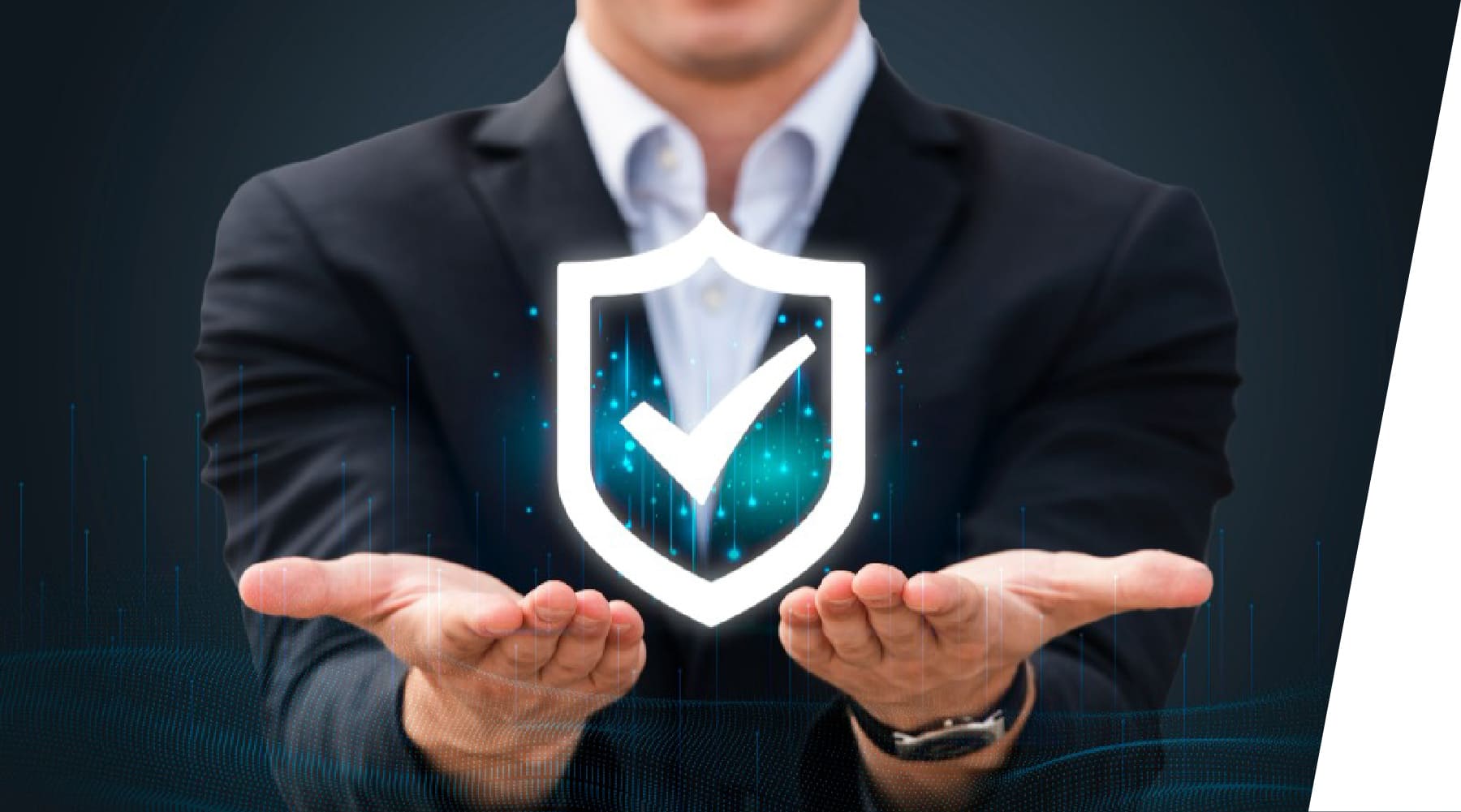 Gestión Calidad - Grupo Masiza